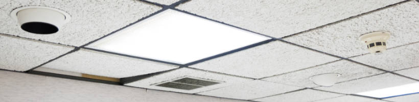 Professional Mice Pest Control Experts | Viking Pest Control