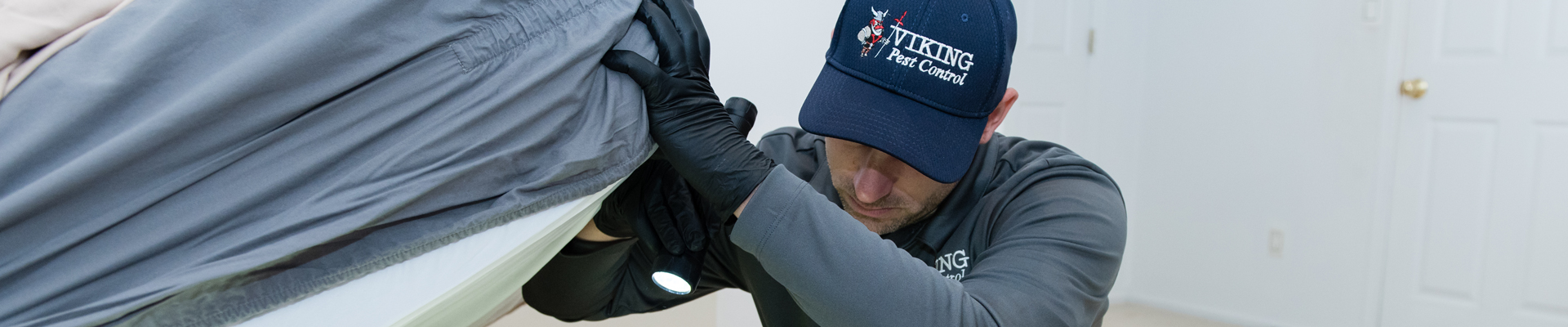 Bed Bug Removal Viking Pest Control