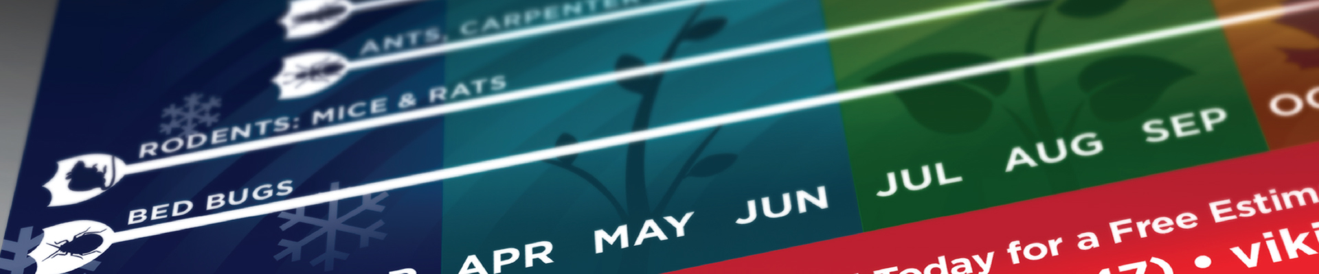 Pest Calendar: What Pests Should You Expect During the Year?