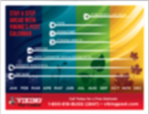 Pest Calendar: What Pests Should You Expect During the Year?