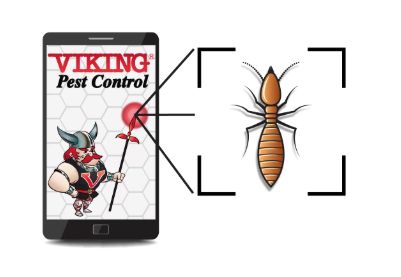 Our Pest Identification Service | Viking Pest Control