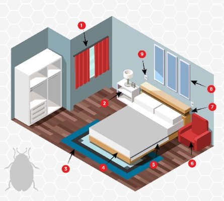 Top Bed Bug Control FAQs | Viking Pest Control