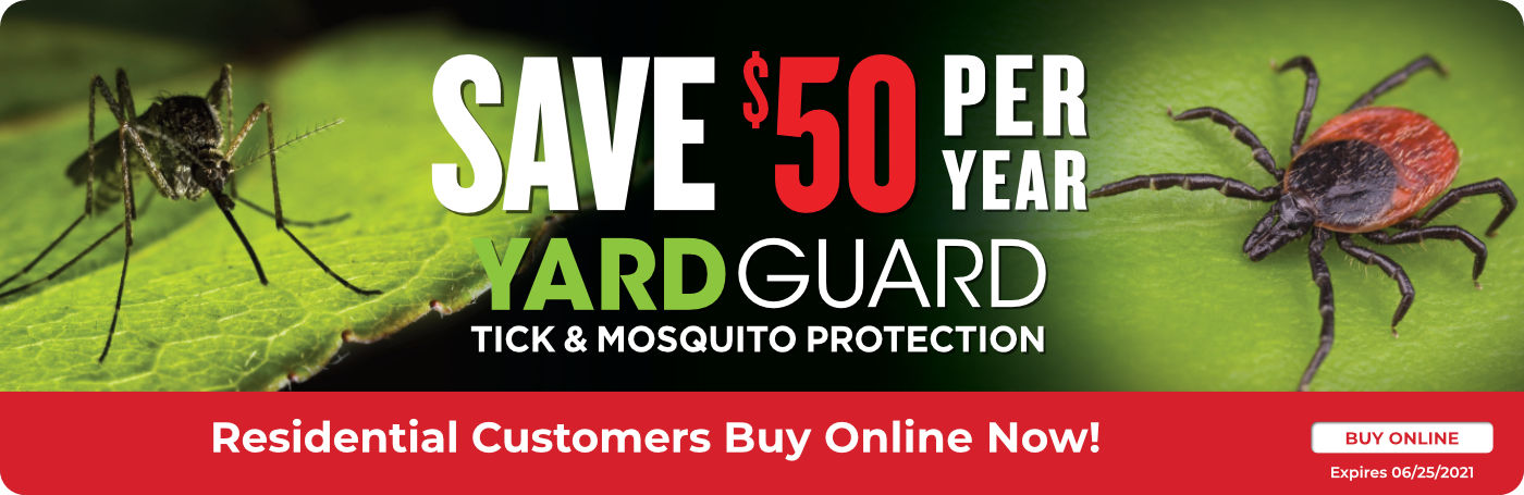 Our Pest Prime Week Promotions | Viking Pest Control