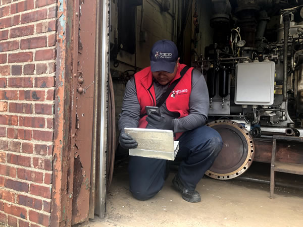 Switch and Save with Viking Pest Control - NJ, PA, MD, DE