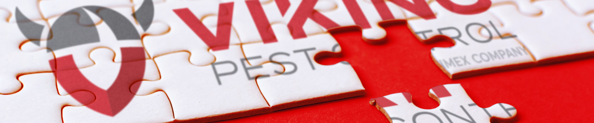 Selling Your Pest Control Business - Anticimex Acquisitions & Mergers ...