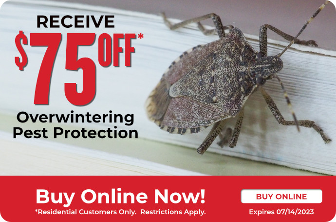 Our Pest Prime Week Promotions | Viking Pest Control