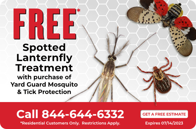 Our Pest Prime Week Promotions | Viking Pest Control