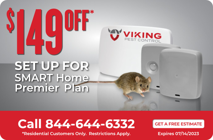 Our Pest Prime Week Promotions | Viking Pest Control