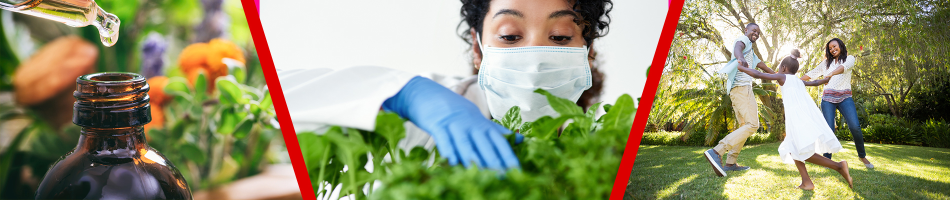 Viking Pest Control » Organic Pest Control for Your Home - Viking Pest ...